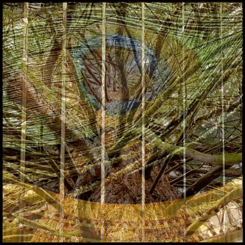 Menu of Guitar Tunings (100+) | World of Tuning | Guitar & Global Music ...