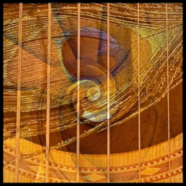 World of Tuning: Home | Guitar & Global Musicology | Rāga Junglism ...