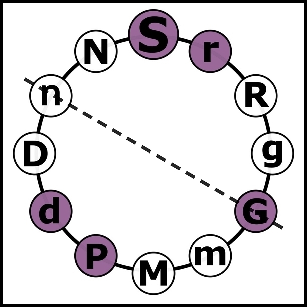 Bibhas | SrGPdS | Hindustani Raga Index | 365+ Ragas